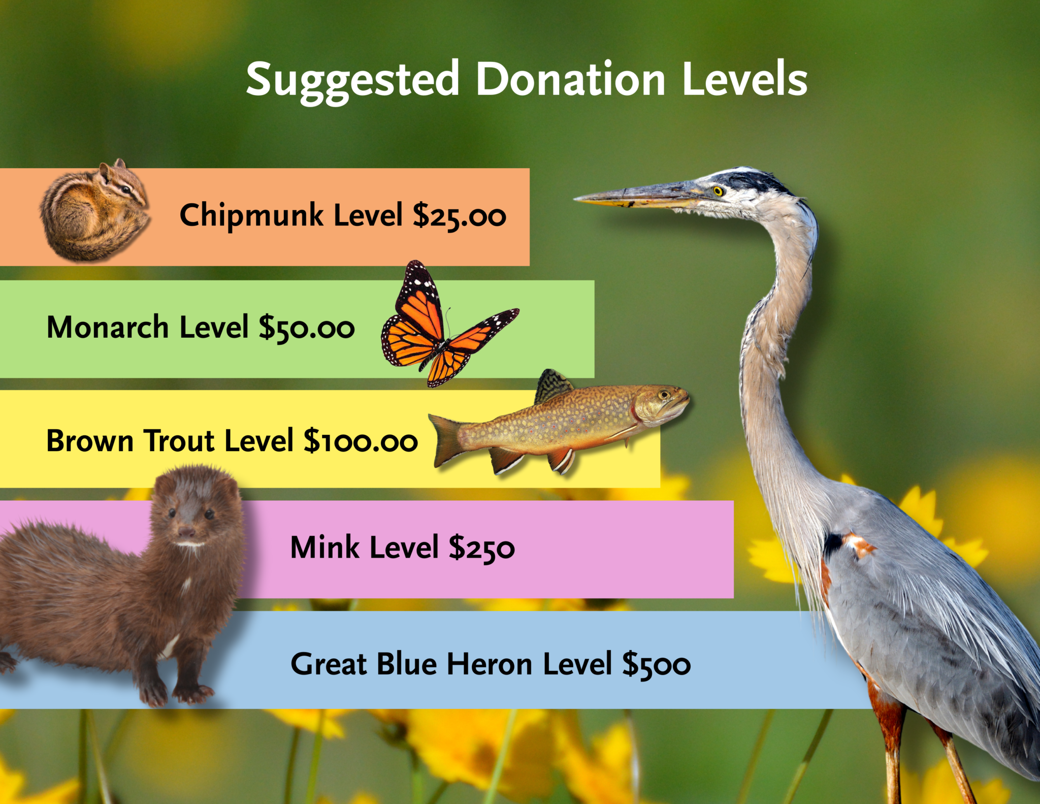 Capital Campaign: A Growing Legacy – Riveredge Nature Center
